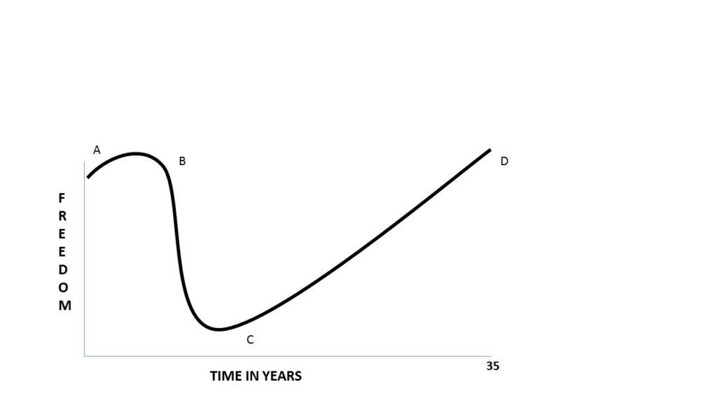 The Big Dip in Financial Freedom - Financial Independence Hub